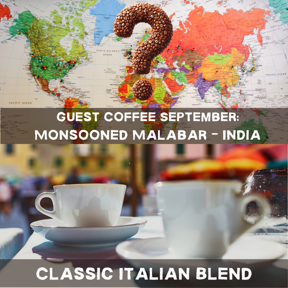 The Discovery Bundle - Try Different Coffees Every Month, All Espresso ...