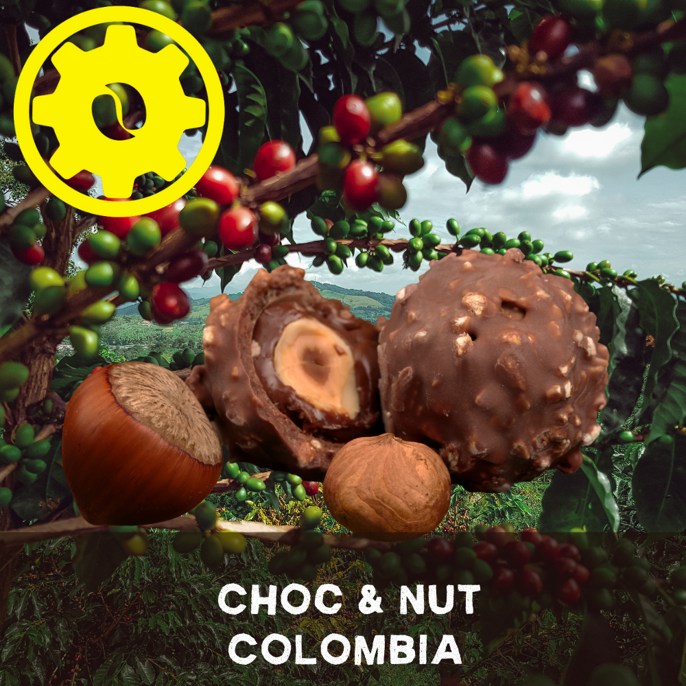 Choc & Nut Colombia Single Origin Coffee Beans – The Coffeeworks