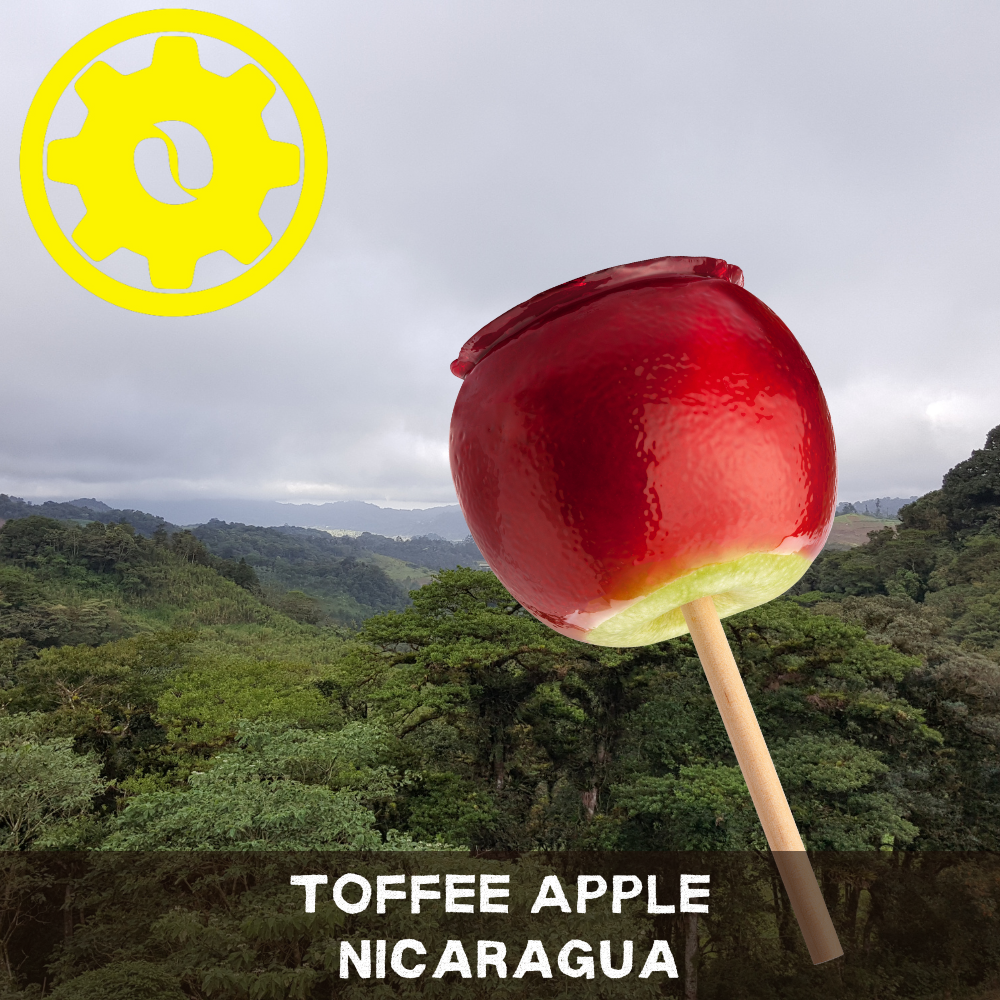 Toffee Apple Nicaragua Single Origin Coffee Beans – The Coffeeworks